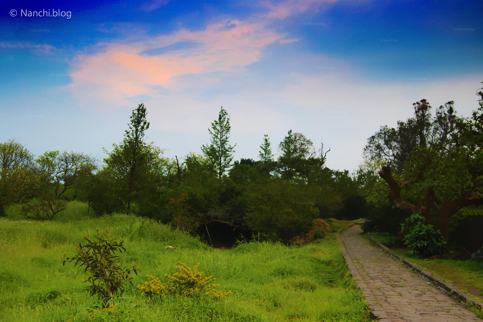 Sinhagad Fort – A must visit place in Pune, Maharashtra! – Nanchi.blog