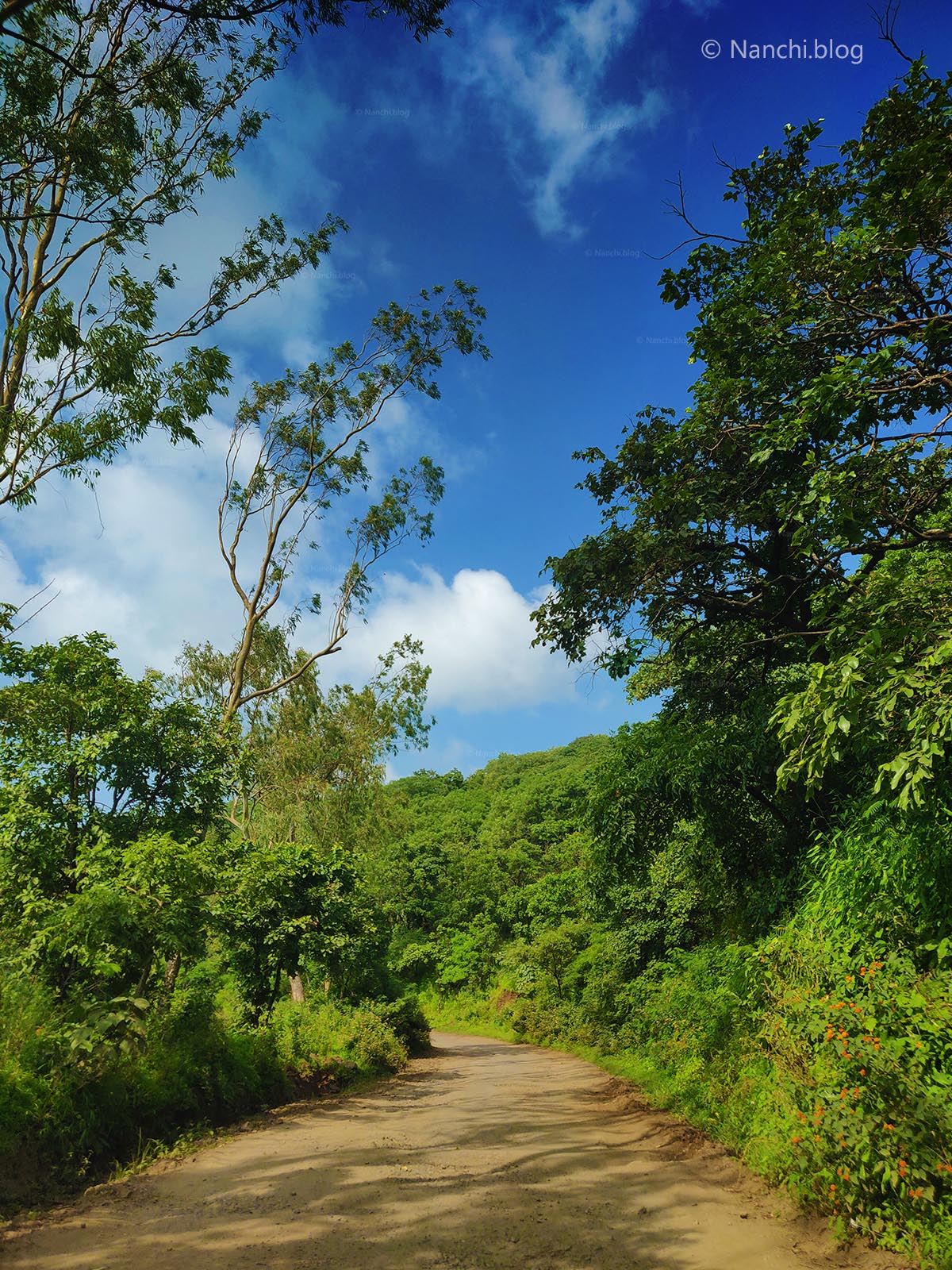 Sinhagad Fort – A must visit place in Pune, Maharashtra! – Nanchi.blog