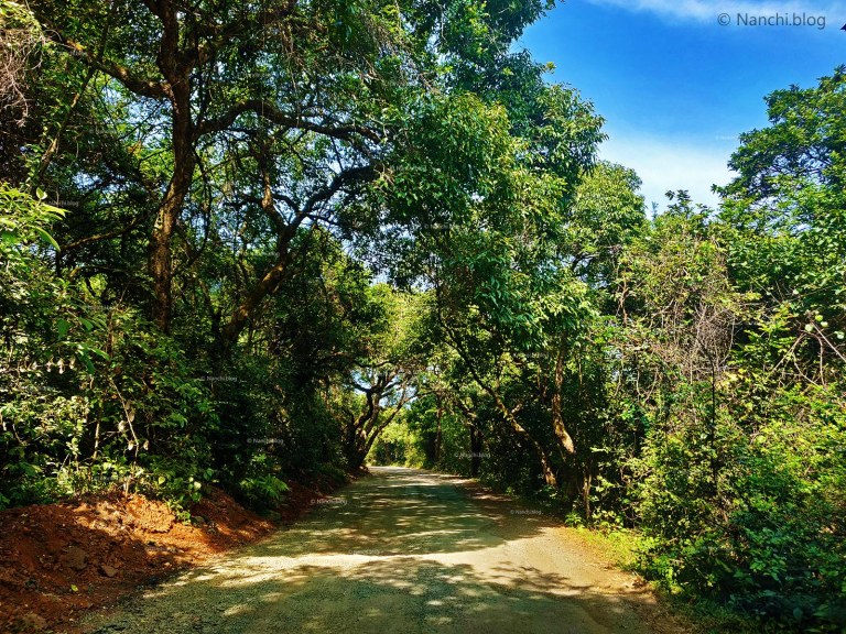 Krishnabai Temple, Mahabaleshwar – A hidden gem! – Nanchi.blog