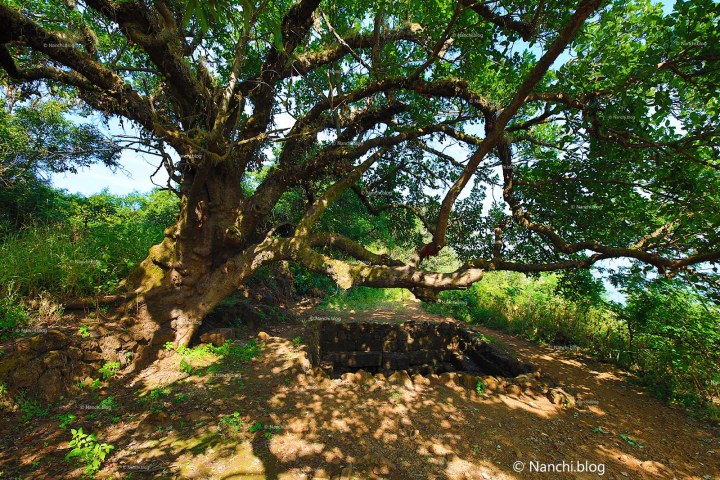 Krishnabai Temple, Mahabaleshwar – A hidden gem! – Nanchi.blog