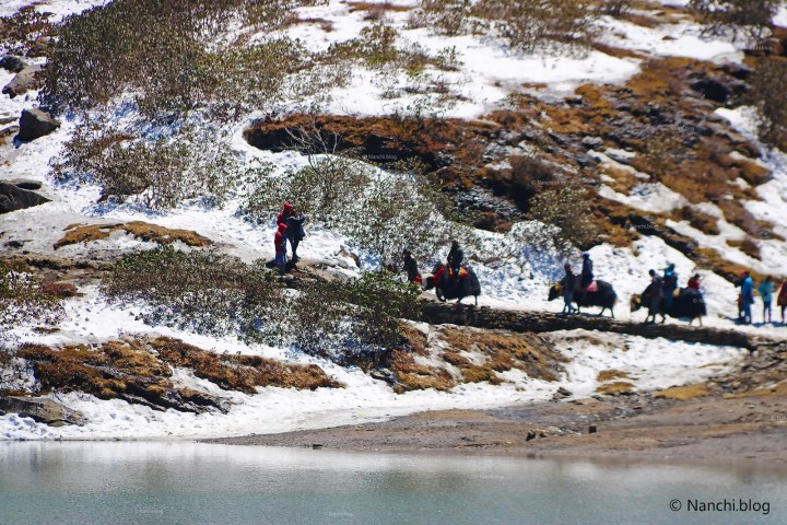 Tsomgo Lake – Sacred and Beautiful side of East Sikkim! – Nanchi.blog