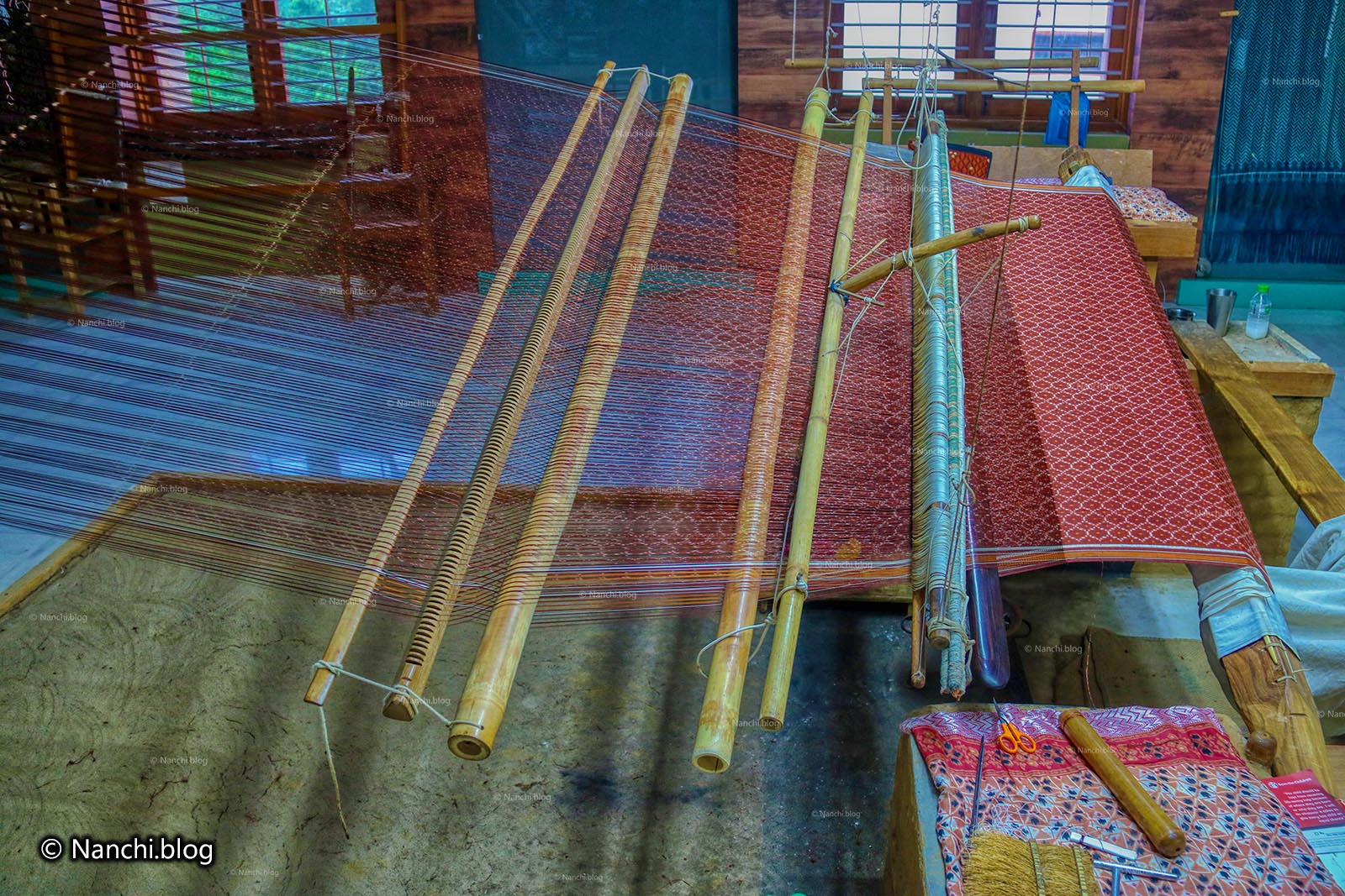 Nanchi’s Fun Facts Friday – Patan Patola Saree! – Nanchi.blog