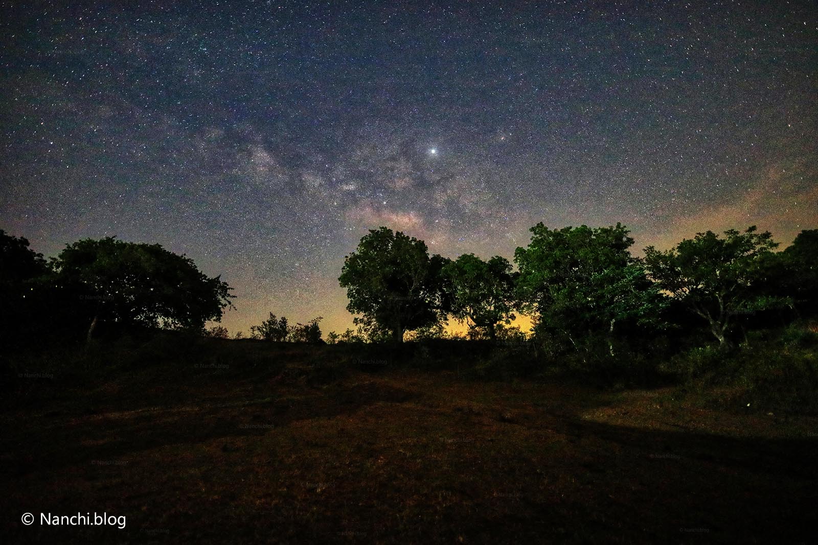 Fireflies Show – Light up the forest! – Nanchi.blog