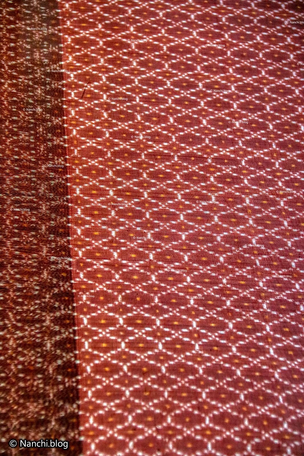 Nanchi’s Fun Facts Friday – Patan Patola Saree! – Nanchi.blog