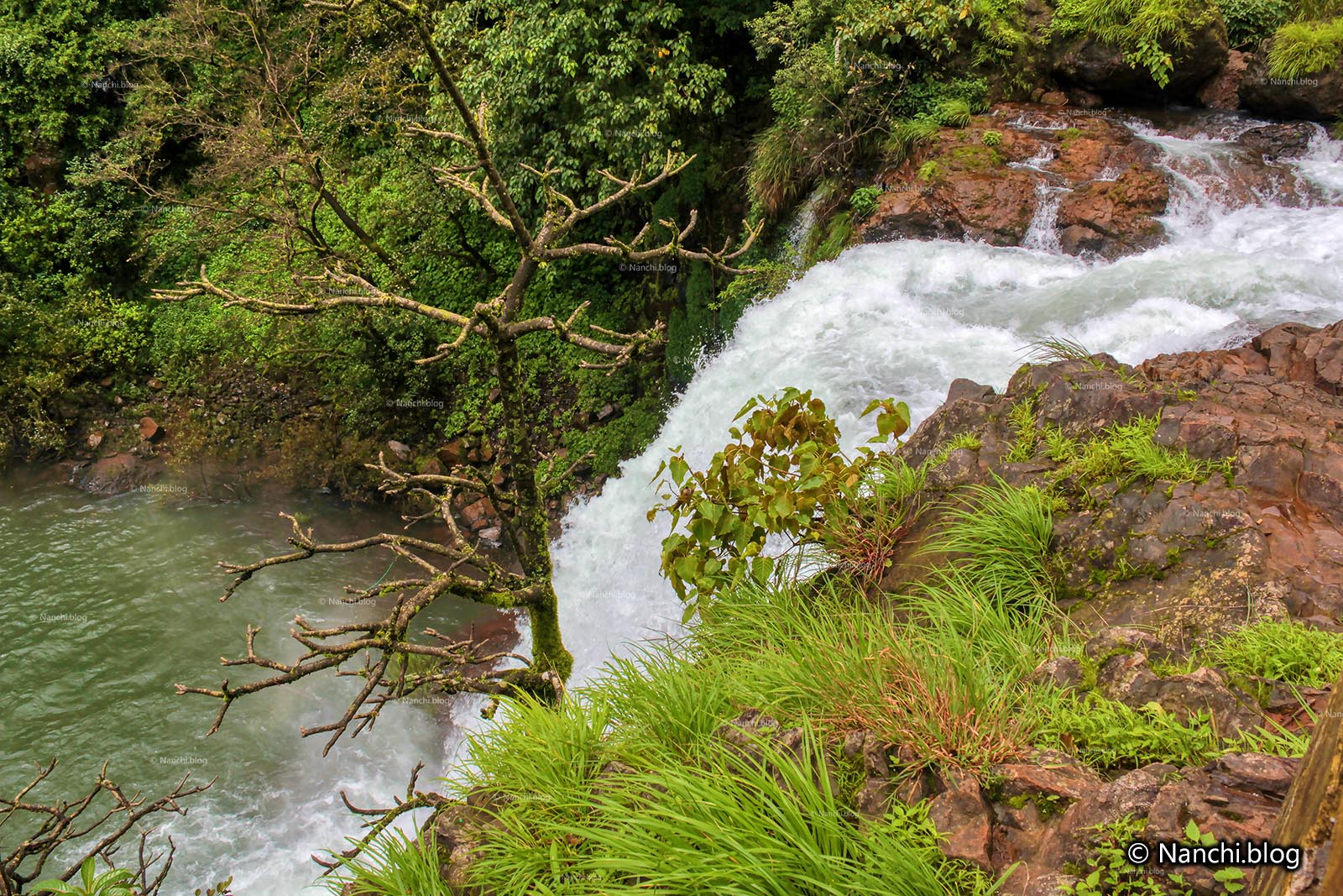 Thoseghar Waterfalls – A monsoon getaway! – Nanchi.blog