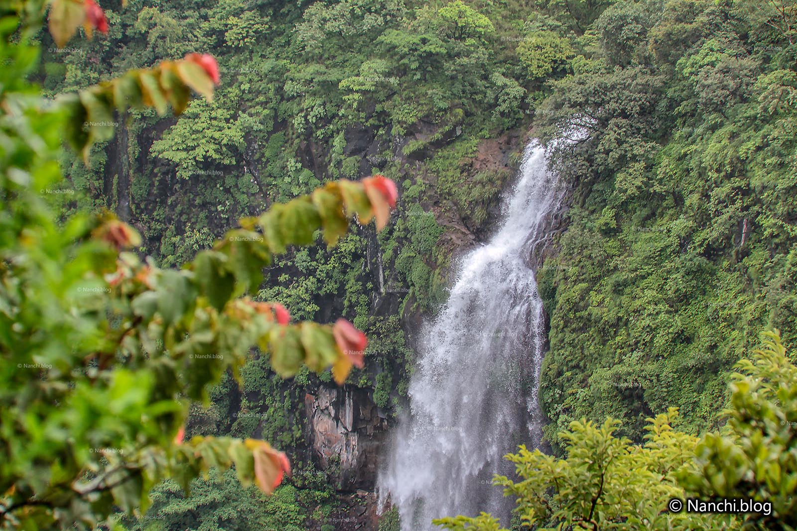 Thoseghar Waterfalls – A monsoon getaway! – Nanchi.blog