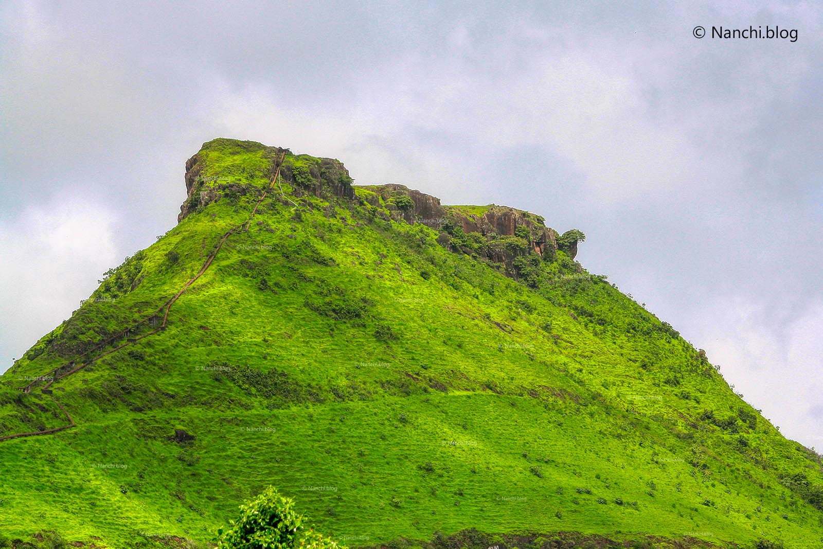 Kaas Plateau – Our first visit to the Heaven on Earth! – Nanchi.blog