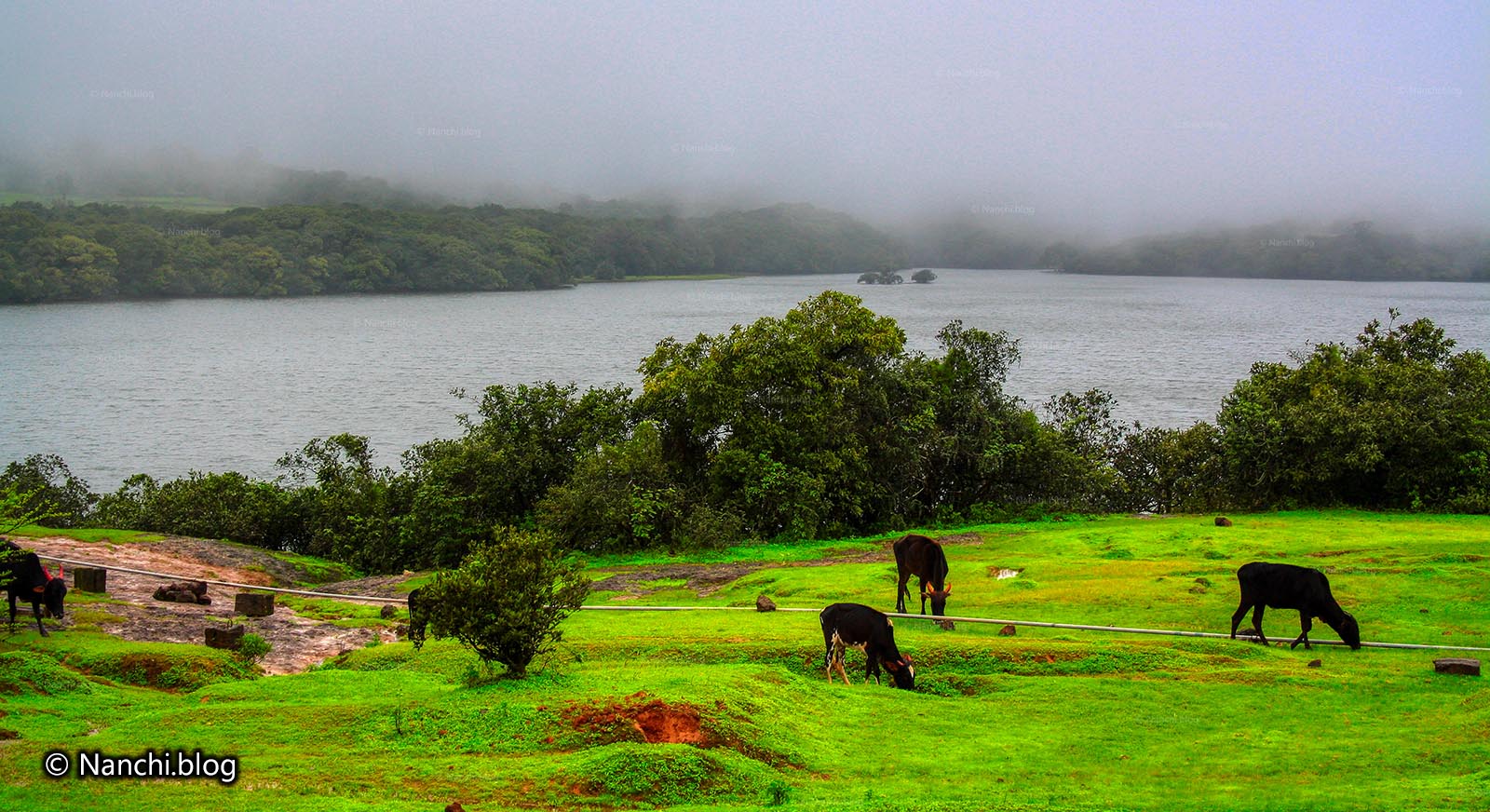 Kaas Plateau – Our first visit to the Heaven on Earth! – Nanchi.blog