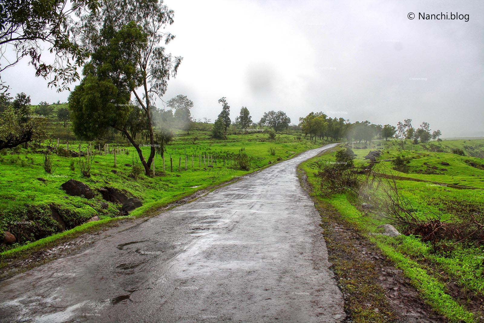 Kaas Plateau – Our first visit to the Heaven on Earth! – Nanchi.blog