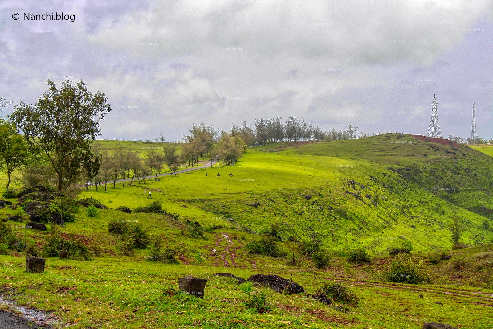 Kaas Plateau – Our first visit to the Heaven on Earth! – Nanchi.blog